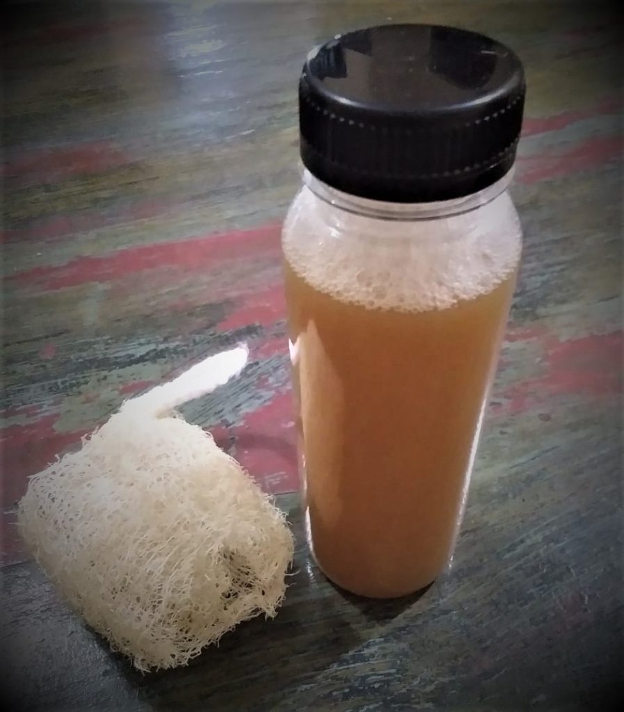 Shower water filter - Bali Organic Center